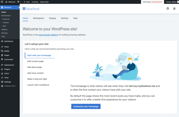 How to Start a WordPress Blog on Bluehost in 2024 (in 30 Minutes)